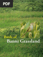 Bto Bird Species Codes | PDF