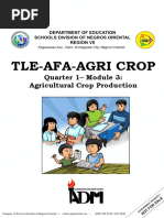Module TLE Grade 10 Agricultural Crop Production Rully - Docx 2 | PDF ...