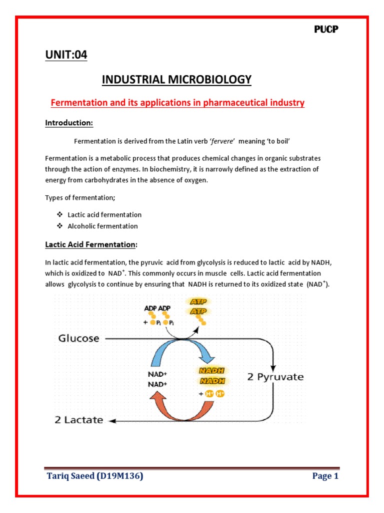 Fermentation Applications in Pharma Industry | PDF | Chemistry ...