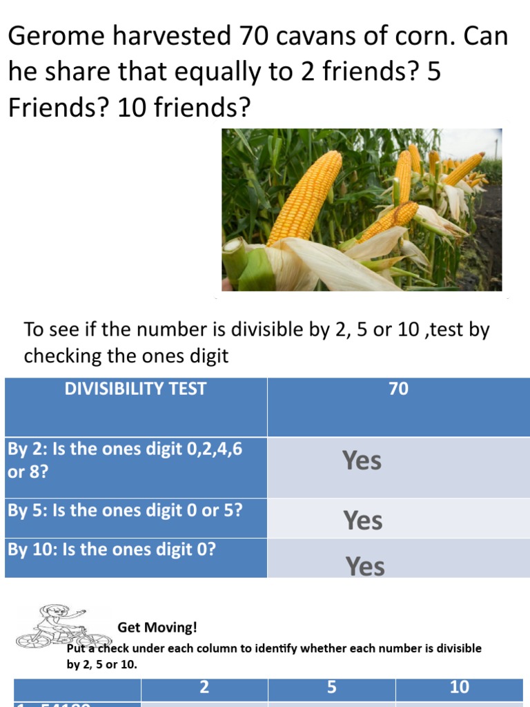Lesson 4 - Divisibility Rules 2, 5, 10 | PDF