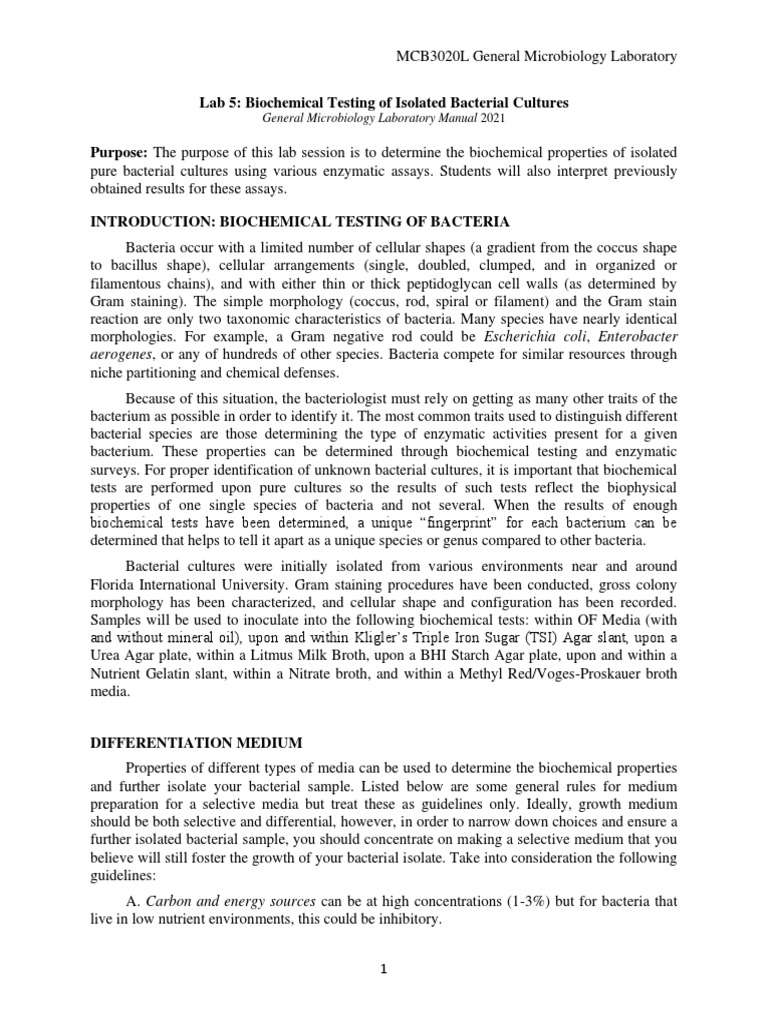 General Micro Lab 5 Biochemical Testing - Fall 2021 | PDF | Growth ...