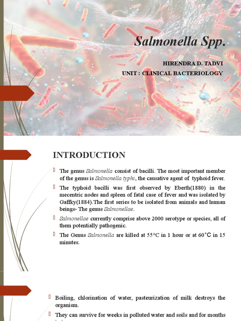 Salmonella SPP | PDF | Salmonella | Epidemiology