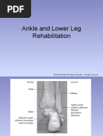 Ankle MMT | PDF | Foot | Anatomical Terms Of Motion