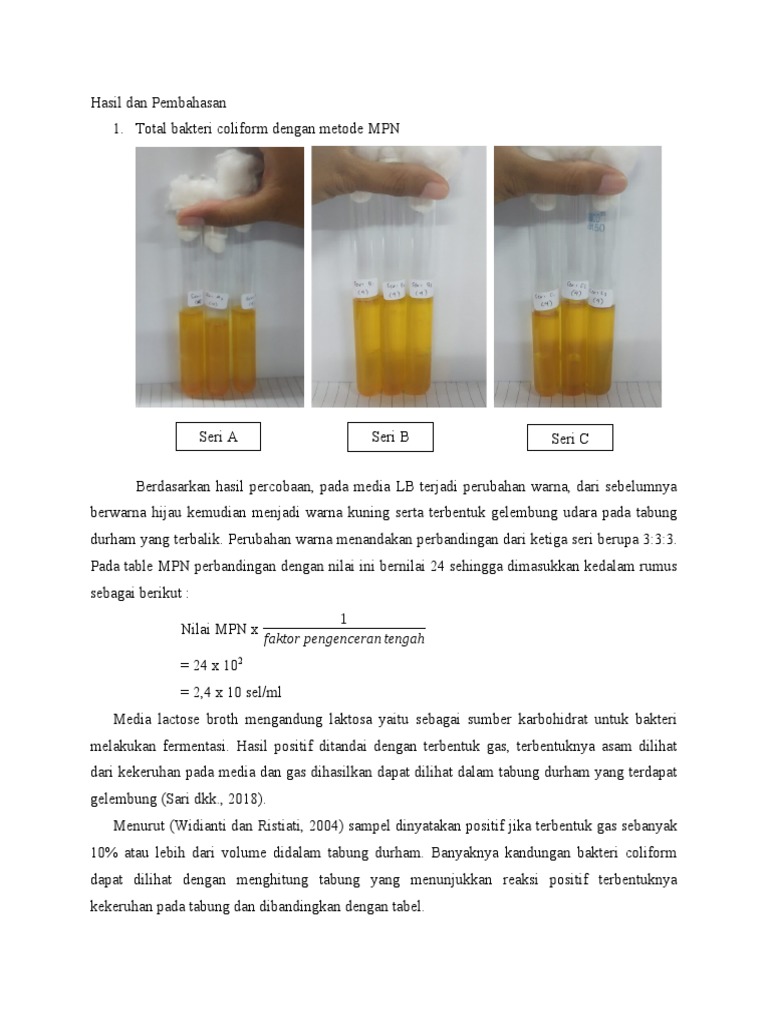 Fix Hasil Pembahasan Mikter | PDF