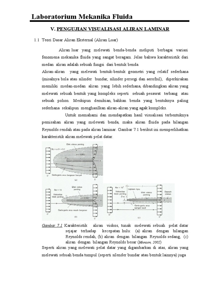 KLP 8 Visualisasi Aliran Laminar | PDF