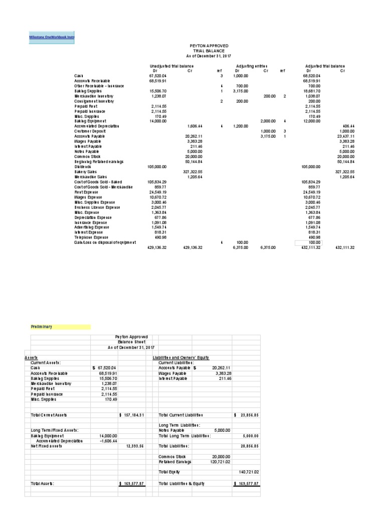 ACC308 Final Project Workbook | PDF | Equity (Finance) | Expense