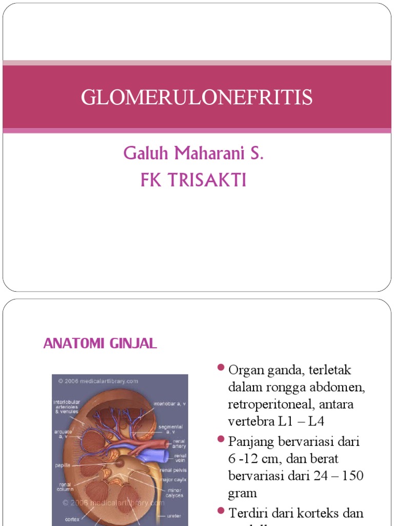 Glomerulonefritis | PDF