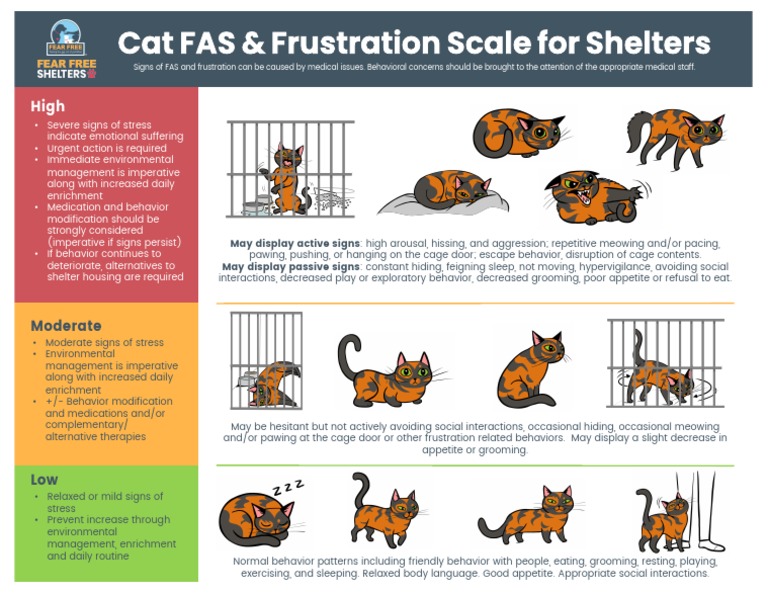 Cat FAS & Frustration Scale For Shelters: Moderate | PDF