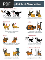 Cat FAS and Frustration Scale Guide | PDF