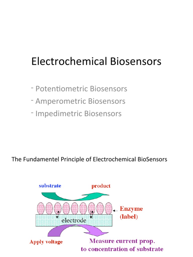 Electrochemical Biosensors: - Potentiometric Biosensors - Amperometric ...