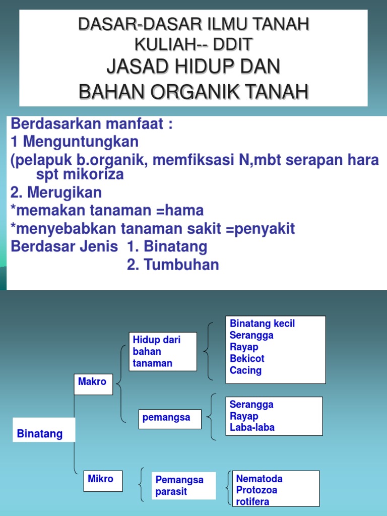 Peranan dan Sumber Bahan Organik Tanah | PDF | Sains & Matematika