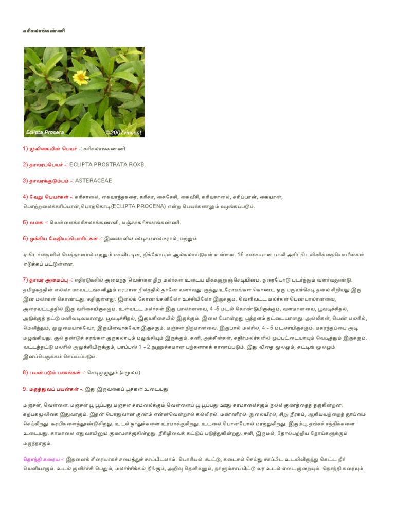 Mooligai | PDF