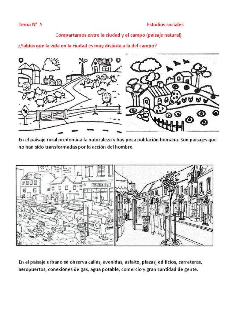 El Campo y La Ciudad | PDF