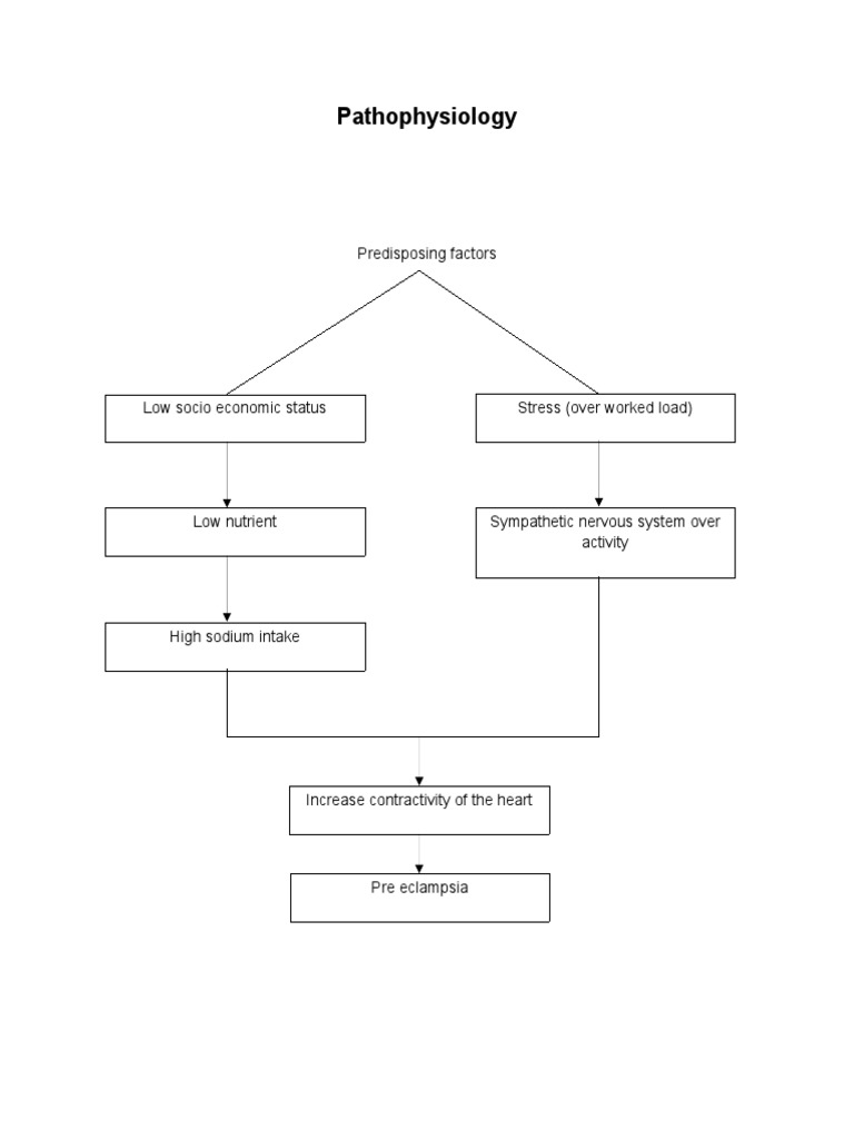 Pathophysiology: Predisposing Factors | PDF | Blood Pressure | Nursing