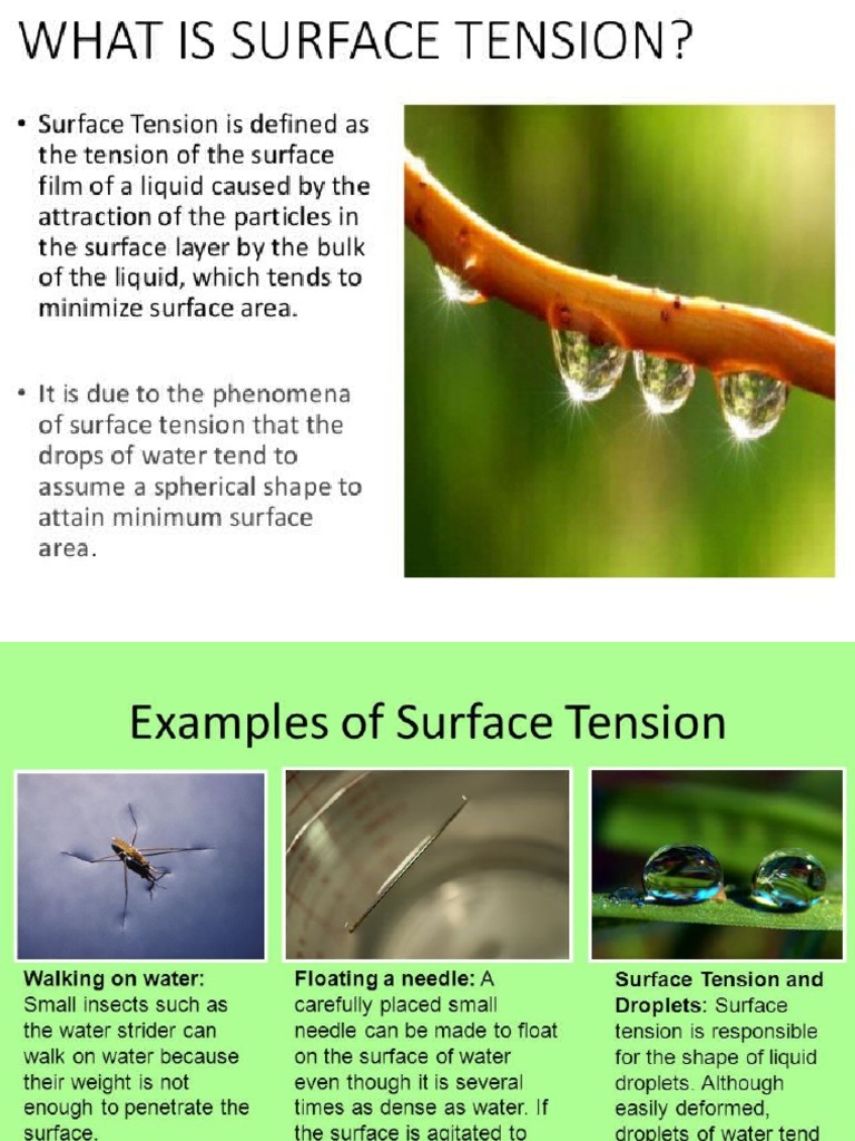 Surface Tension | PDF | Surface Tension | Liquids