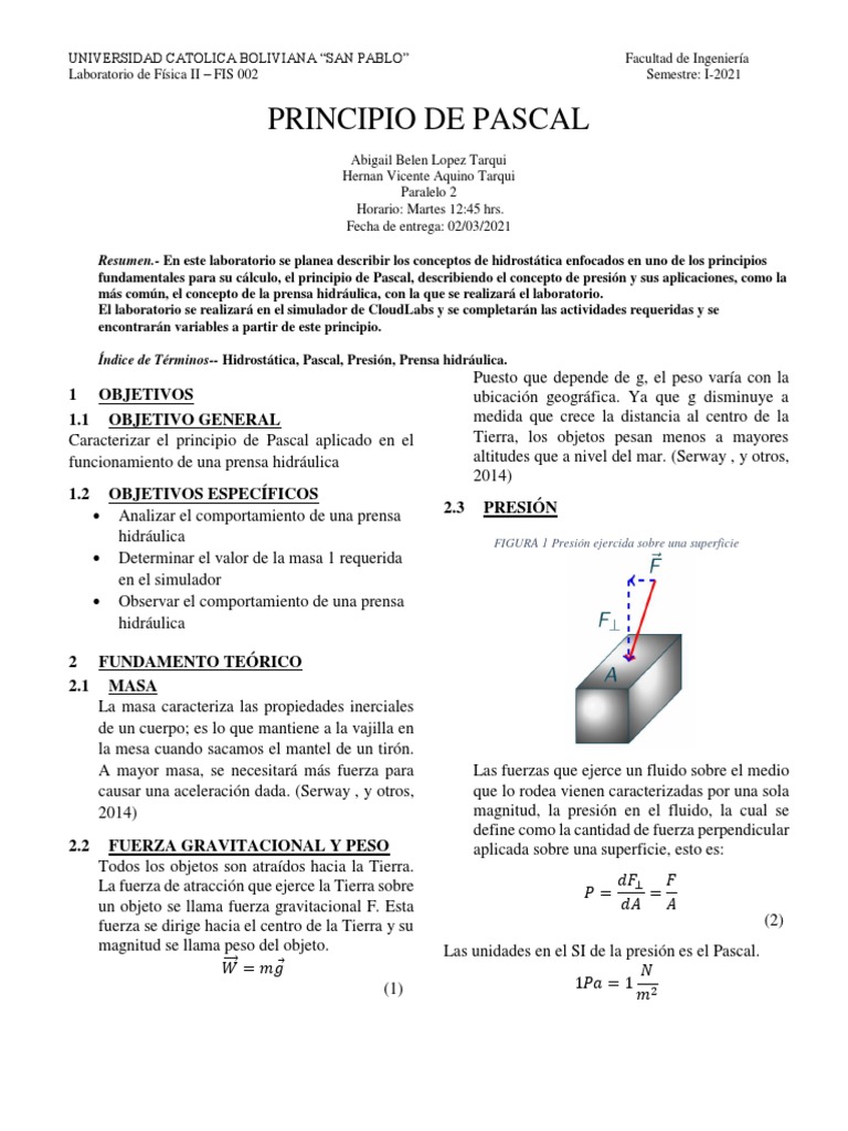 Lab2 Principio de Pascal | Descargar gratis PDF | Presión | Fuerza