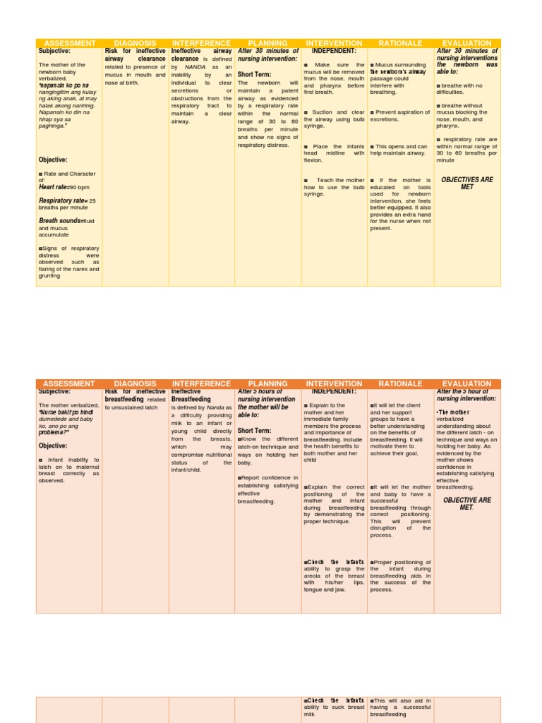 Nursing Care Plan Newborn Group 2 Placenta | PDF | Breastfeeding ...