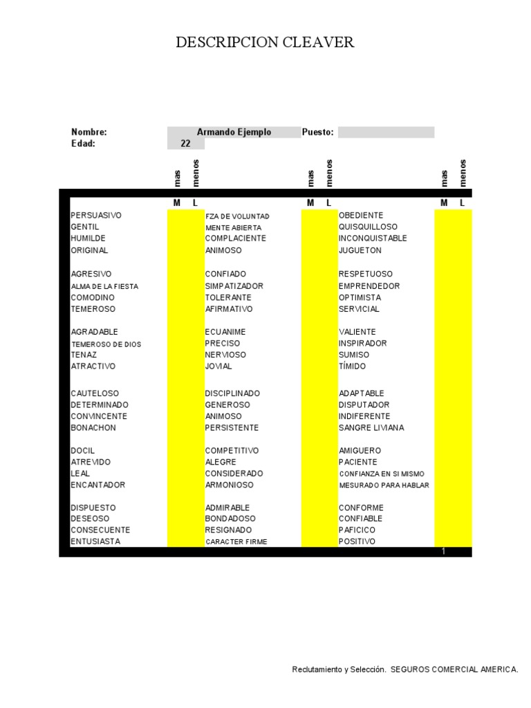 Test Cleaver Disc | PDF