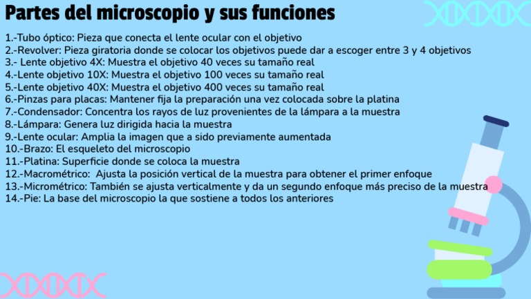 Partes Del Microspcopio y Sus Funciones | PDF