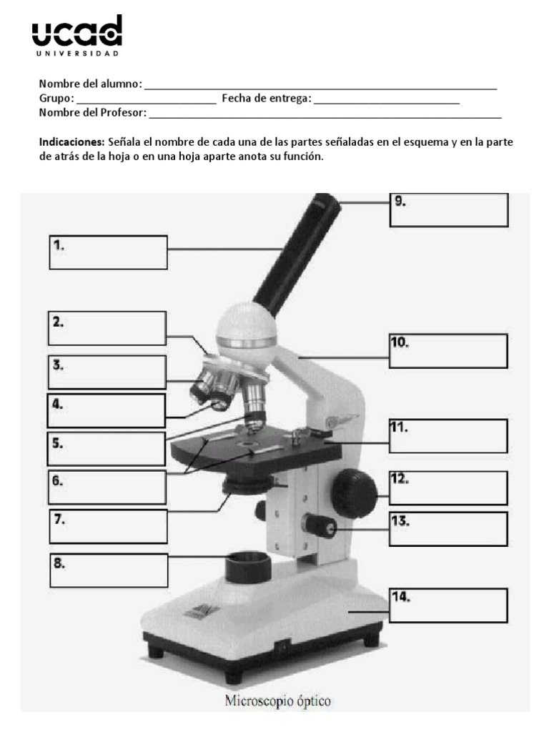 Partes Del Microscopio Parte 2 | PDF