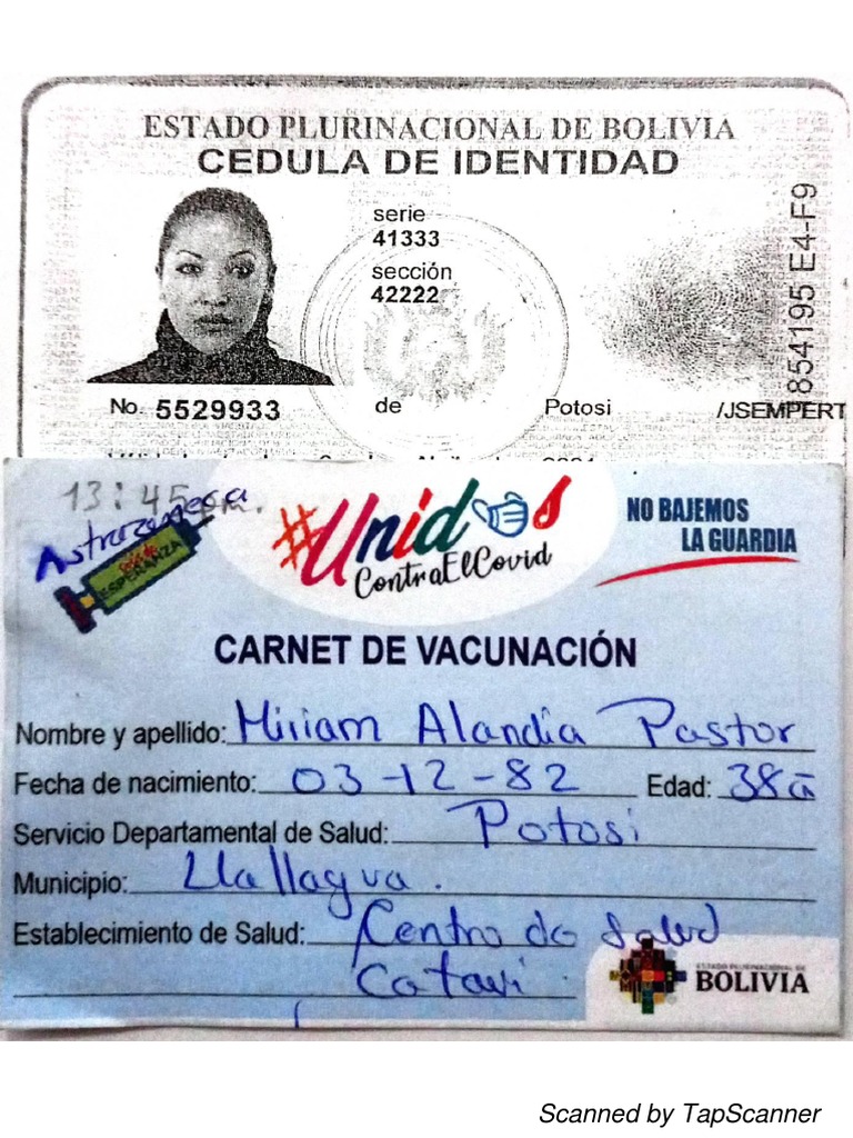 Alandia Pastor Miriam Documentos | PDF