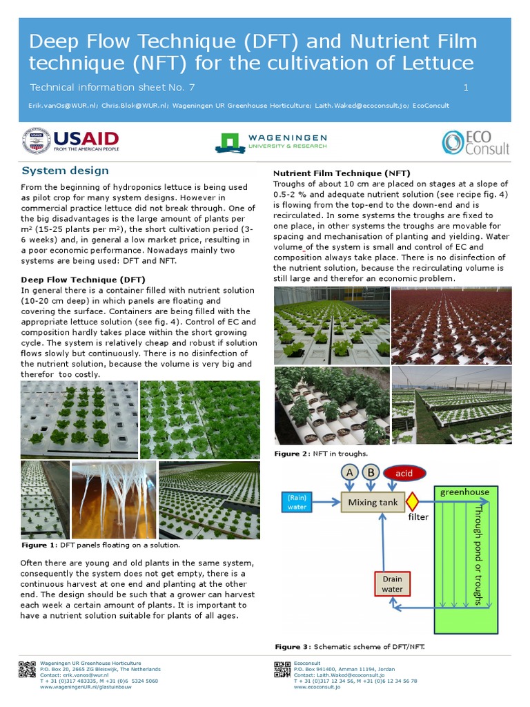 Deep Flow Technique (DFT) and Nutrient Film Technique (NFT) For The Cultivation of Lettuce | PDF ...