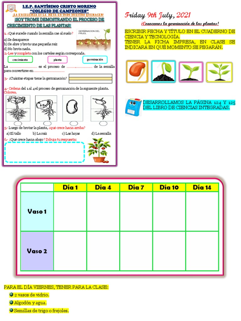 La Germinación de Las Plantas | PDF