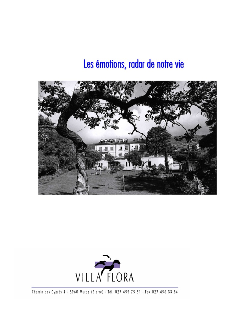 Les Emotions | PDF