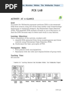 Bacterial Identification Lab Worksheet Student | PDF | Polymerase Chain ...