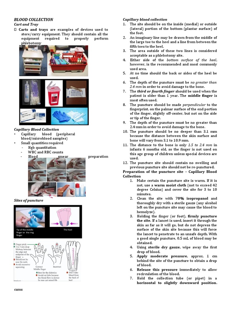 Capillary blood collection guide | PDF | Vein | Blood