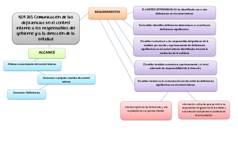 Esquema de La Nia 265 | PDF | Auditoría