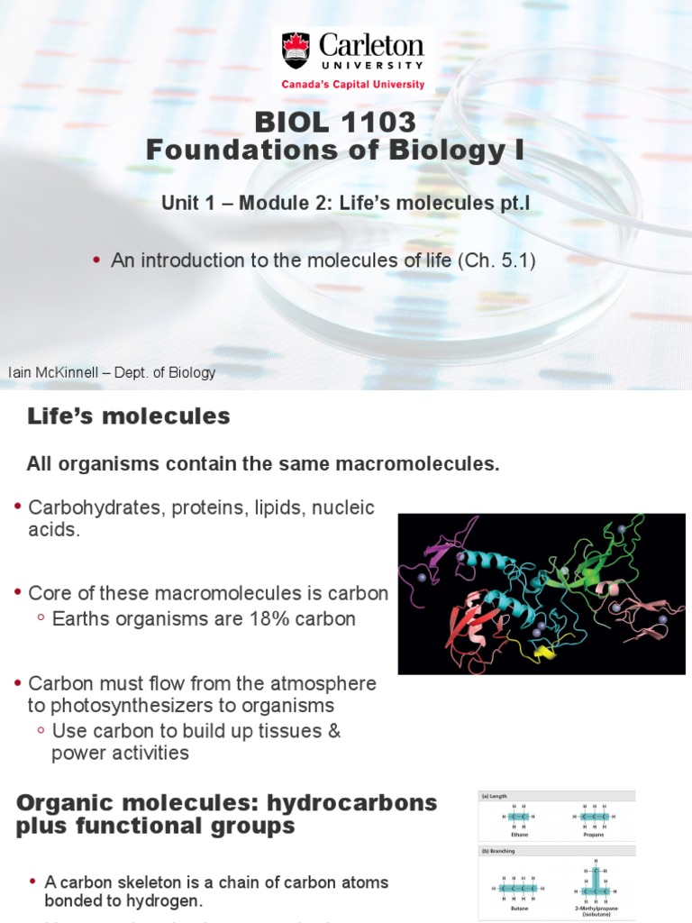 BIOL 1103 Foundations of Biology I: Unit 1 - Module 2: Life's Molecules ...