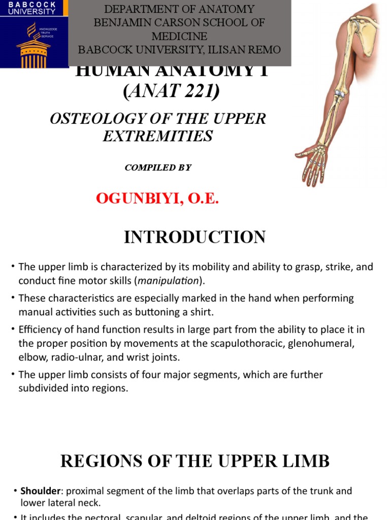 1 Bones of The Upper Limb | PDF | Limbs (Anatomy) | Skeletal System