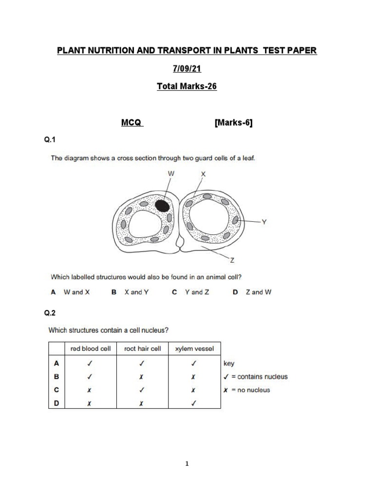 Plant Nutrition and Transport in Plants Test | PDF | Science ...