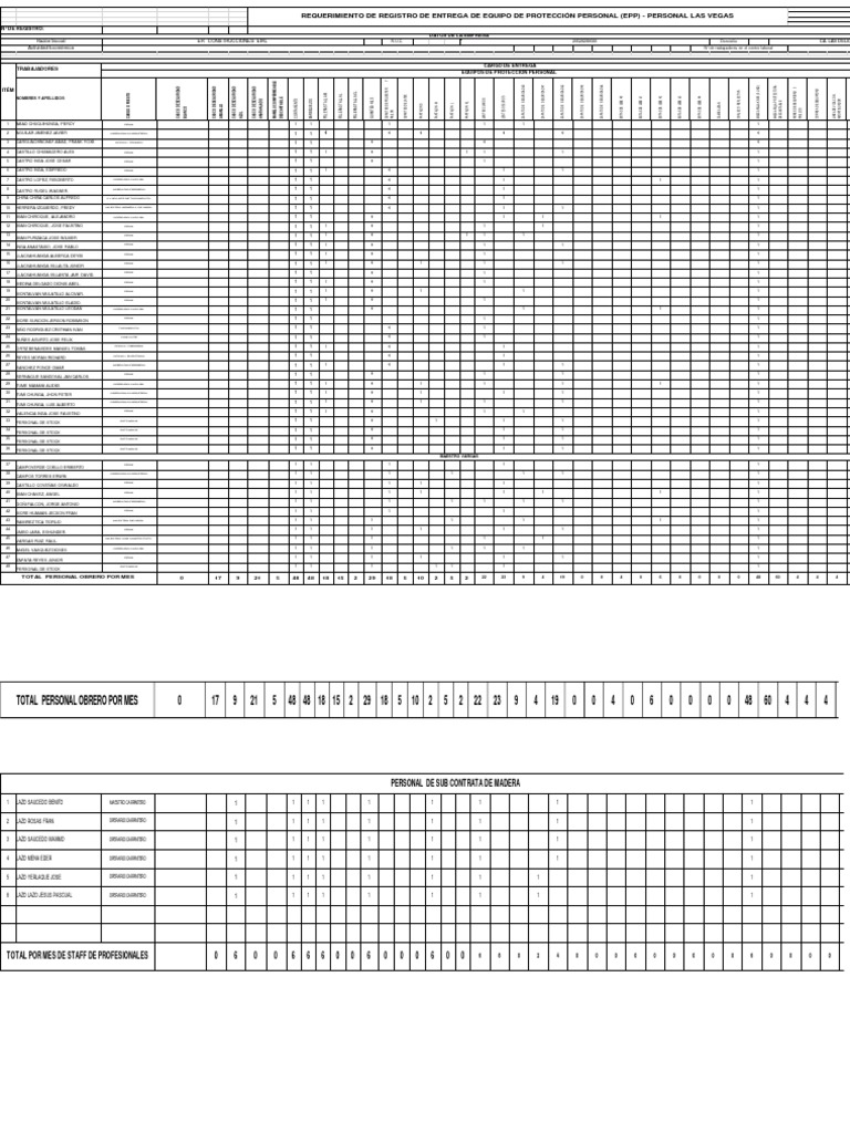 Registro de EPP para Personal Obrero | PDF