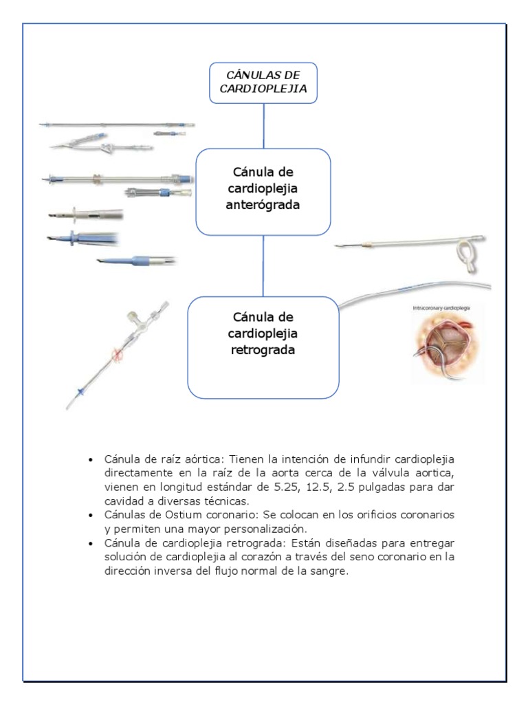 Cánulas de Cardioplejia: Tipos y Usos | PDF