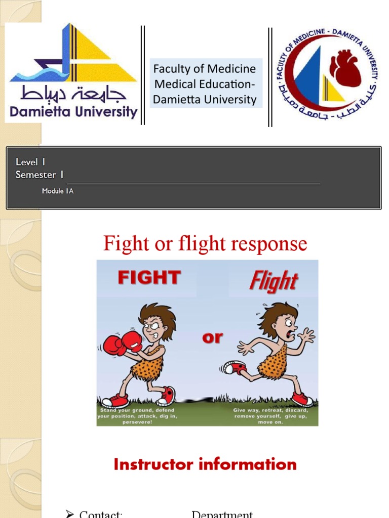 Fight & Flight Resposne | PDF | Fight Or Flight Response | Relaxation ...