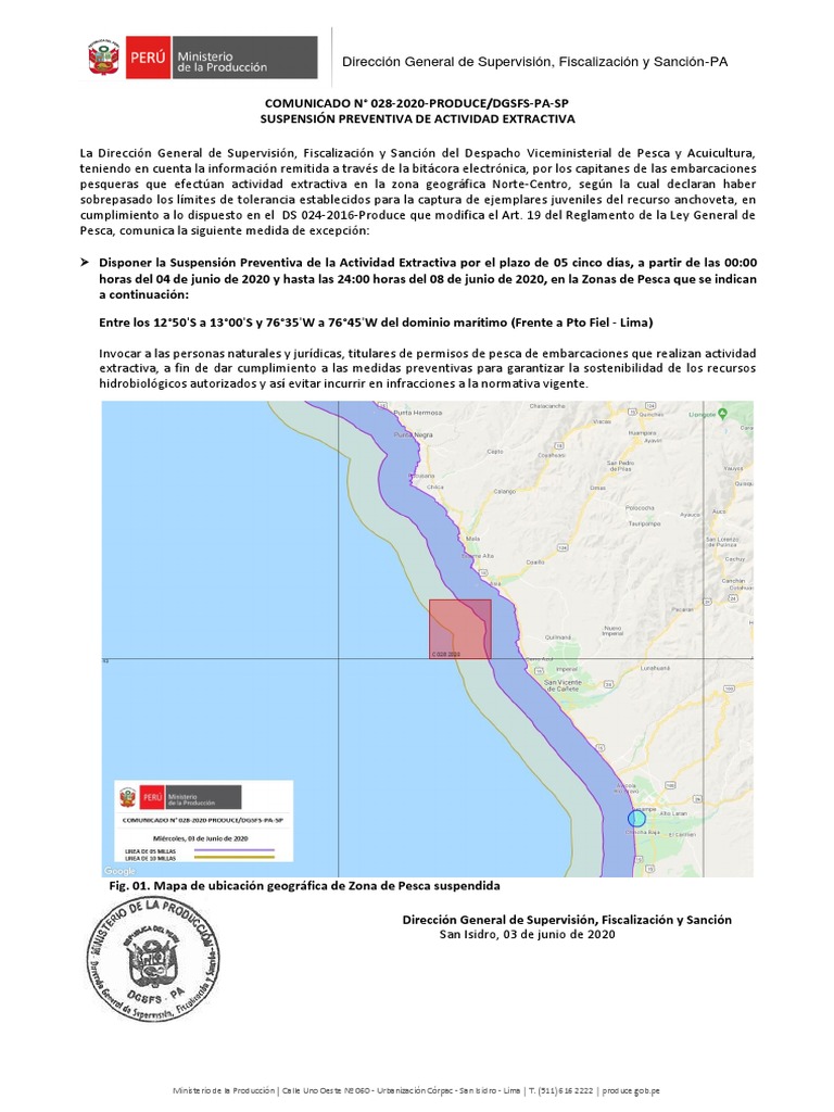 Comunicado 028 2020 Produce Dgsfs Pa SP | PDF