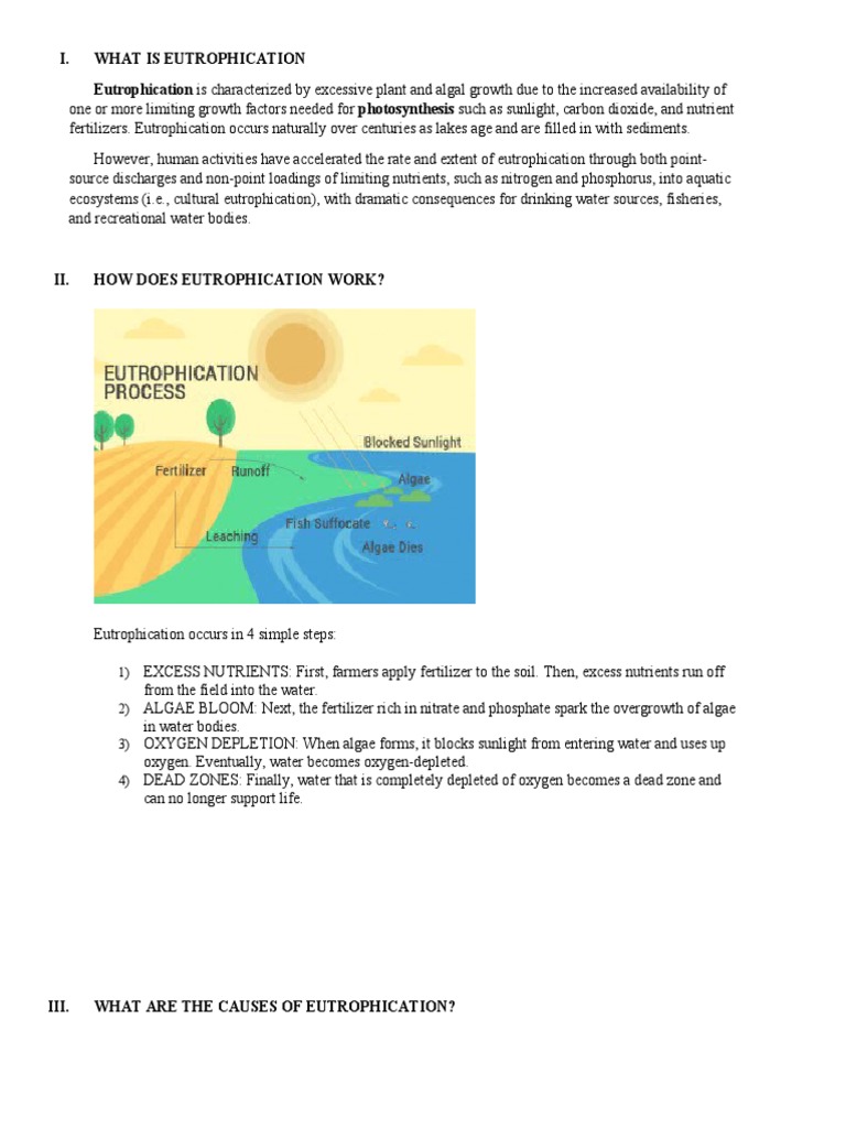 Eutrophic at I On | PDF | Eutrophication | Dead Zone (Ecology)
