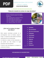 Enzima Invertasa | PDF | Sacarosa | Química