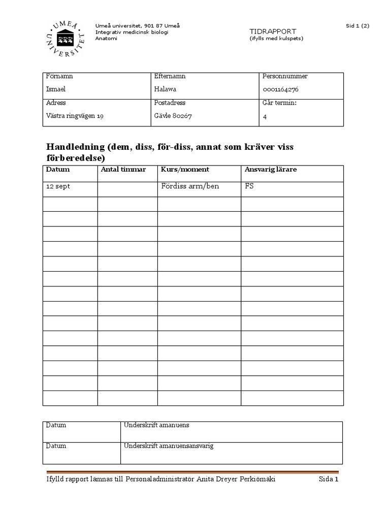 Tidrapport, Ny Version | PDF