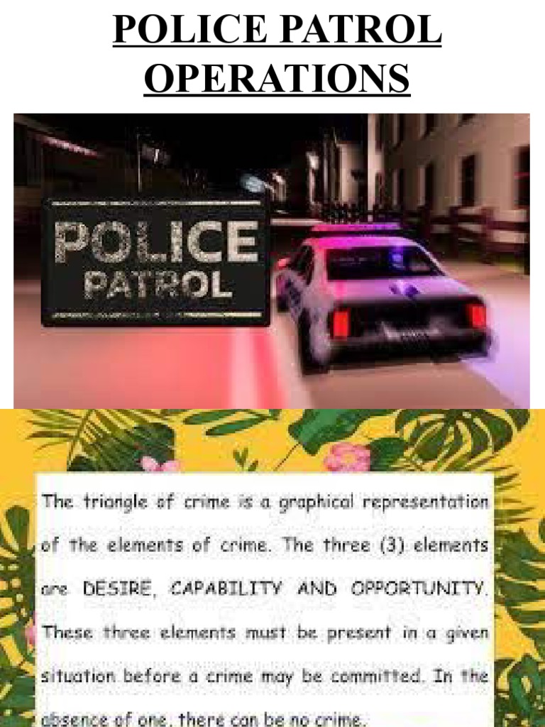 Police Patrol Operations Overview | PDF | Police | Juvenile Delinquency