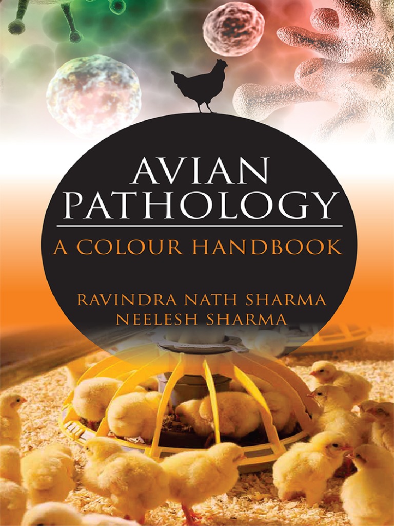 Avian Pathology A Colour Handbook 2020 (001-119) | PDF | Chicken | Birds