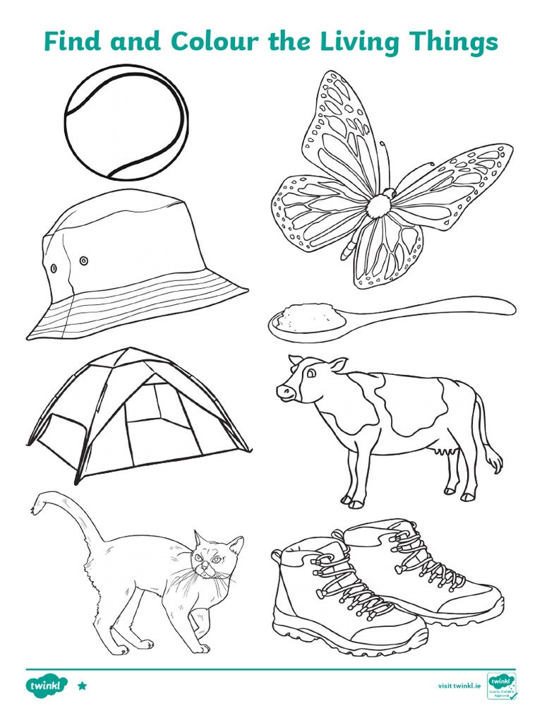 Roi SC 213 Find and Colour The Living and Non Living Things Worksheet ...