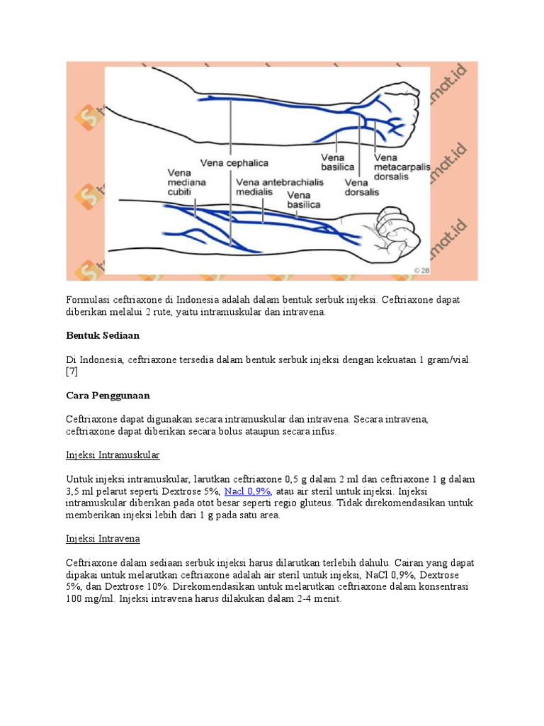 Cara Pemberian Injeksi Ceftriaxone | PDF
