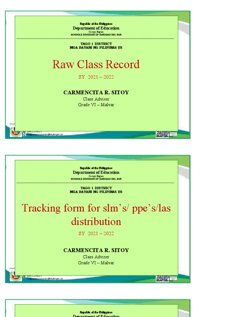Raw Class Record: Carmencita R. Sitoy | PDF | Learning