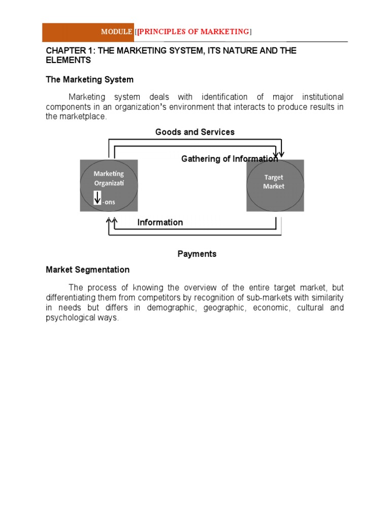 Understanding the Marketing System | PDF