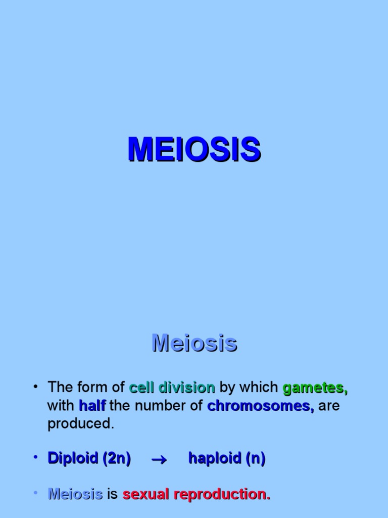 Ppt Meiosis Powerpoint Presentation Free Download Id