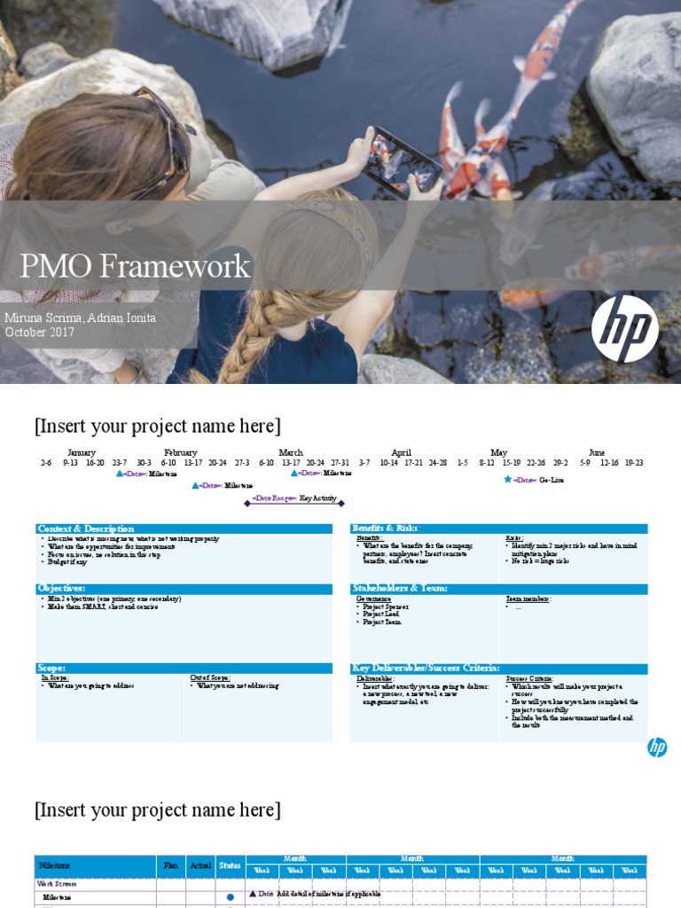 PMO Framework Templates | PDF | Risk | Computing