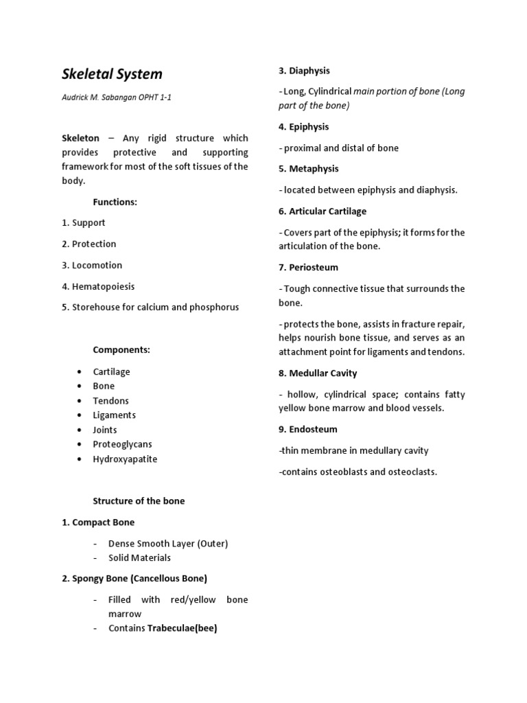 Skeletal System Notes | PDF | Bone | Skeleton